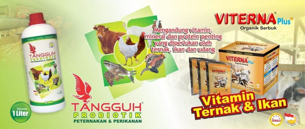 Pakan Ternak Berkualitas Dan Perikanan Tangguh Probiotik | Dharma Sehat
