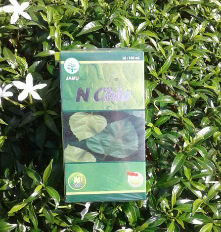 Paket Obat Herbal Autis Tanpa Terapi | Dharma Sehat