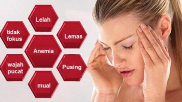 Anemia? Lakukan 5 Langkah Sederhana Ini Untuk Mengatasinya | Dharma Sehat