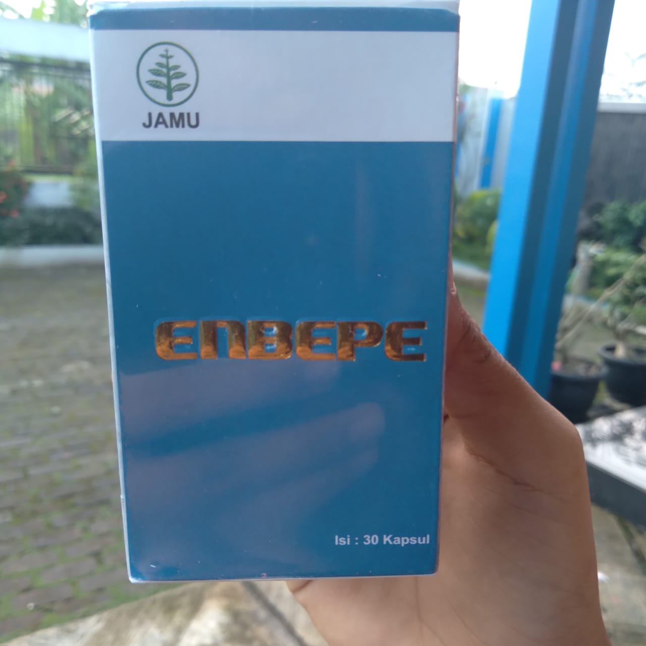 Natural Brain Power Nasa Solusi Kecerdasan Otak | Dharma Sehat